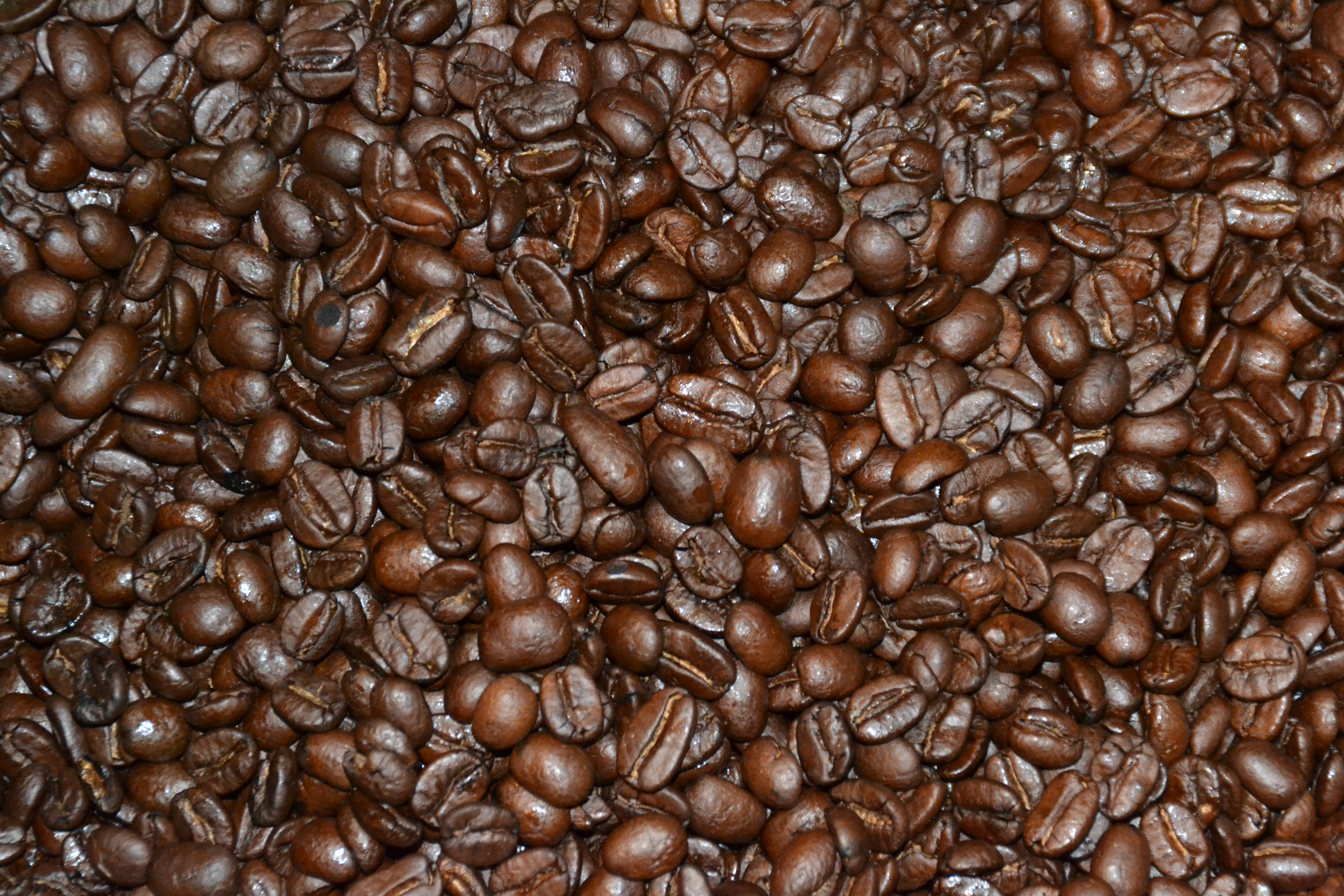 Schoko - Orange | Aromatisierte Sorten | Kaffee | Heyck's Kaffee